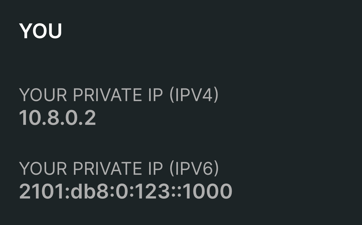OpenVPN 開啟ipv6 - SamWang's Blog
